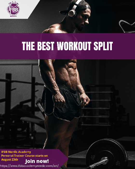 Top 3 Workout Splits to Maximize Muscle Growth and Recovery